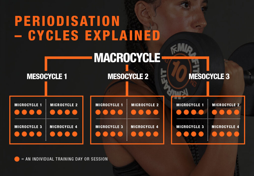 What Are the Different Types of Periodisation? | Mirafit