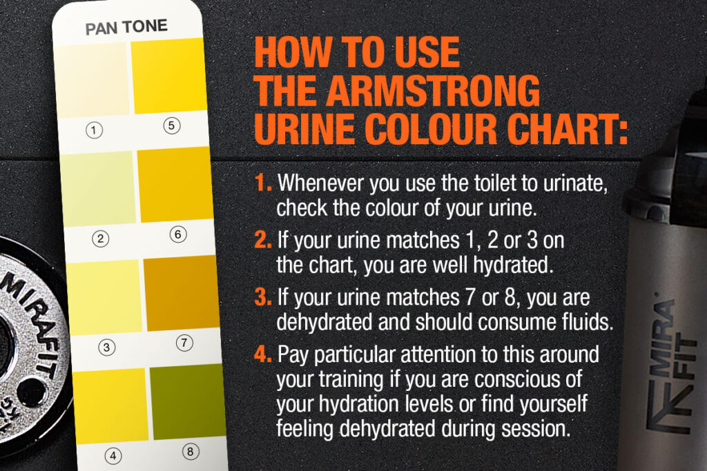 The Link Between Hydration and Athletic Performance | Mirafit