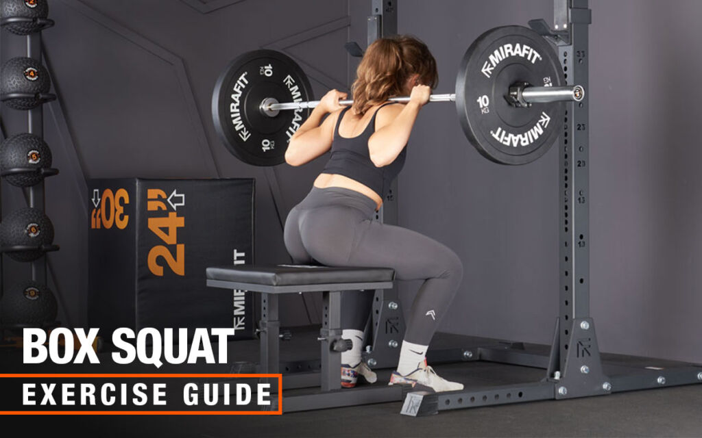 Bar and Weight Plate Leg Exercises | Mirafit