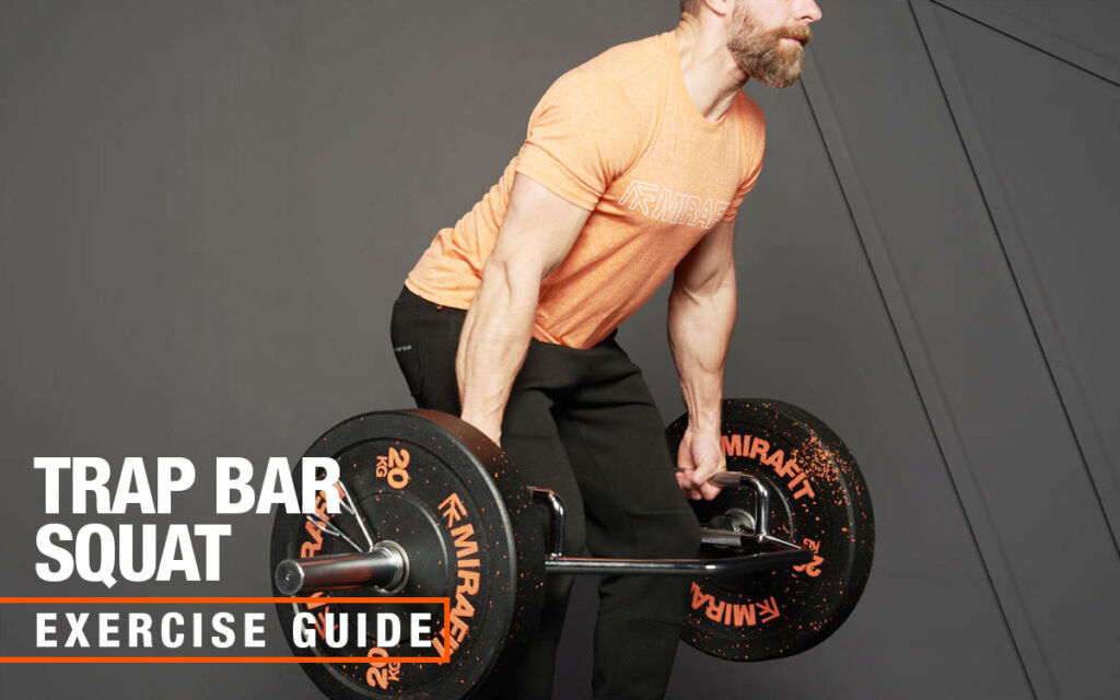 Bar and Weight Plate Leg Exercises | Mirafit