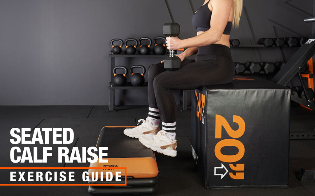 Dumbbell Leg Exercises | Mirafit