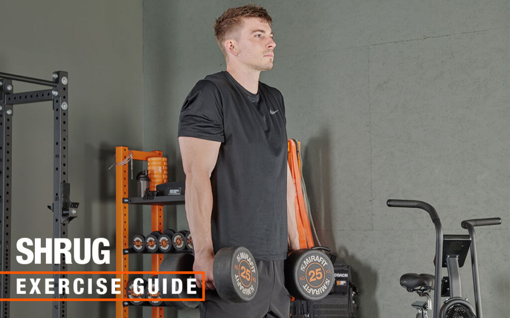 Dumbbell Shoulder Exercises | Mirafit